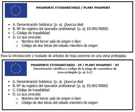 Especificaciones De Calidad En árboles De Hoja Perenne Normas